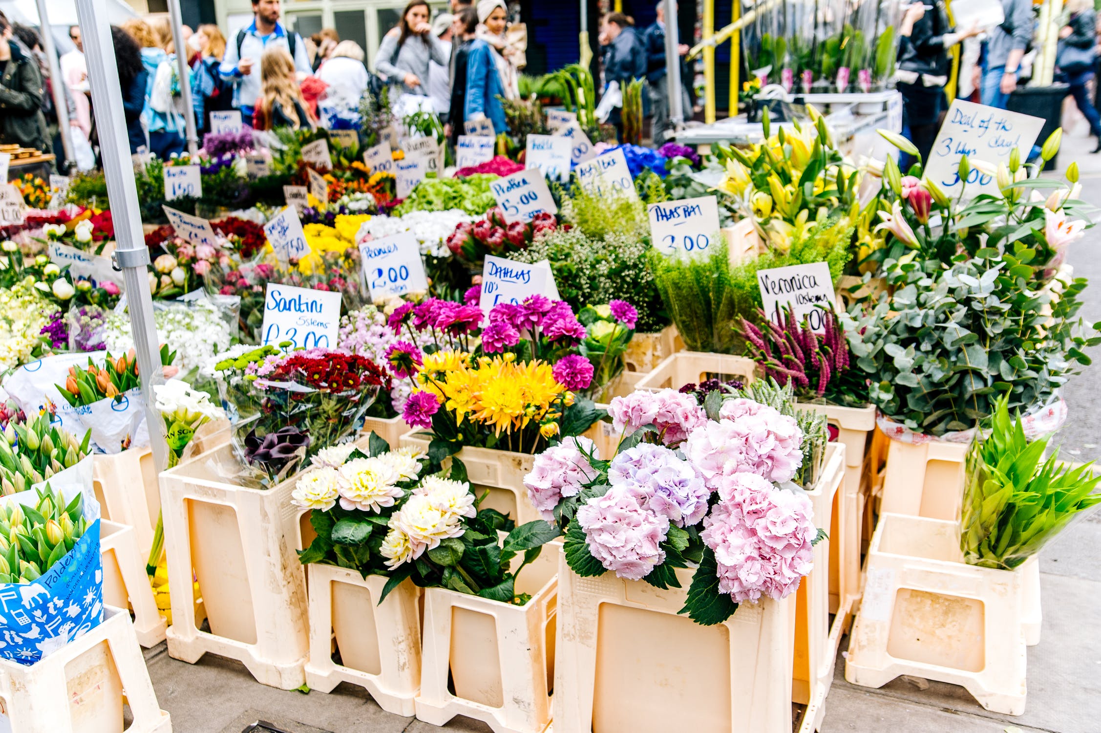 Top 10 Spring Fundraising Ideas Spring Fundraiser Events Top 10 Spring Fundraising Ideas Spring Fundraiser Events
