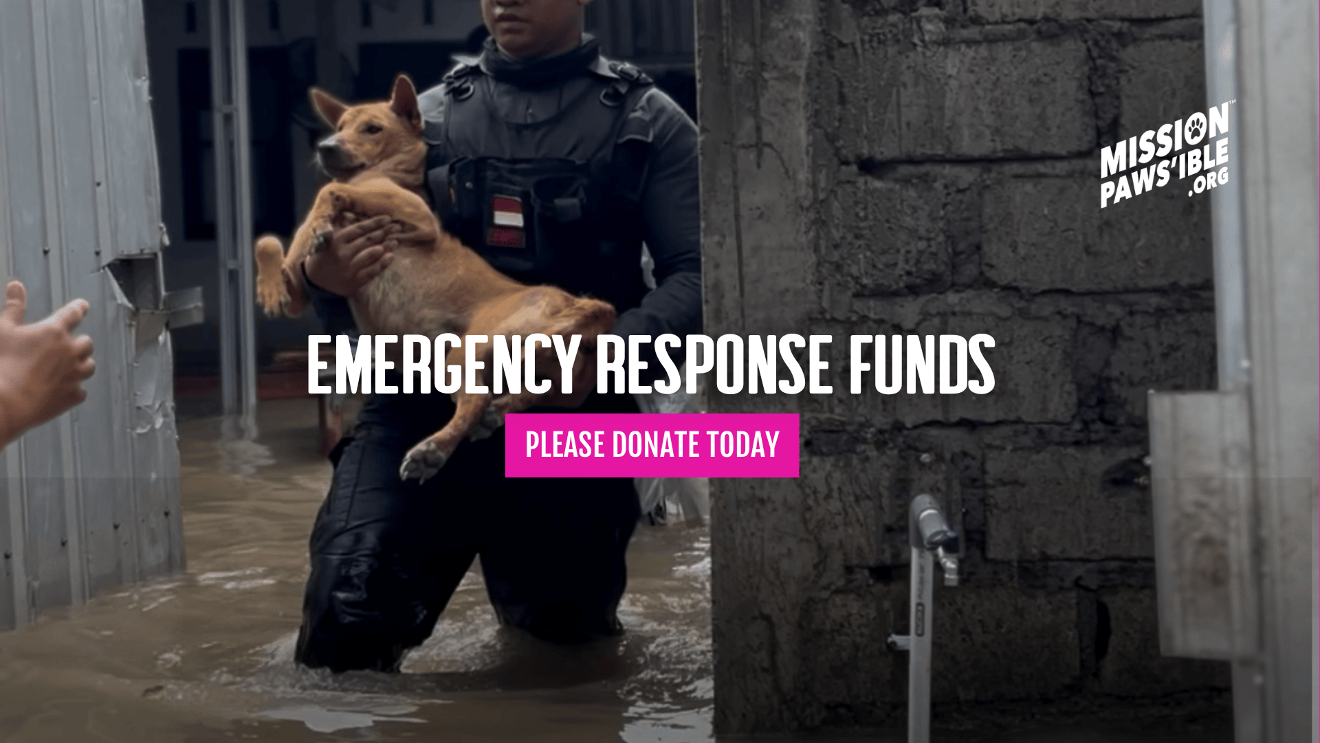 Emergency Response Funds | Mission Pawsible USA (Powered by Donorbox)