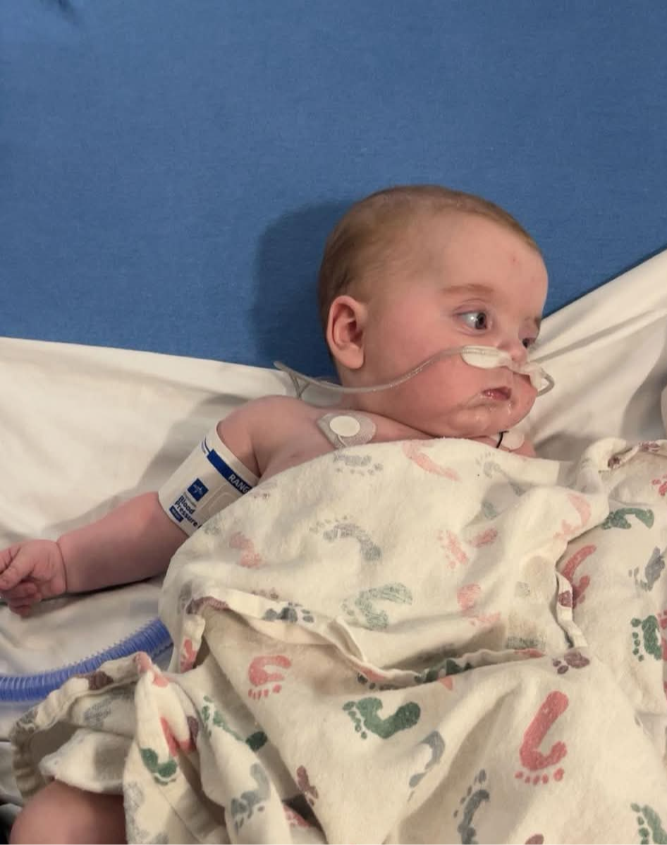 HELP BABY JACK FIGHT FOR HIS LIFE | The Horse defenders (Powered by ...