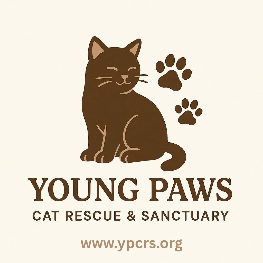 Be Their Hero – Young Paws Cat Rescue & Sanctuary | Young Paws Cat ...