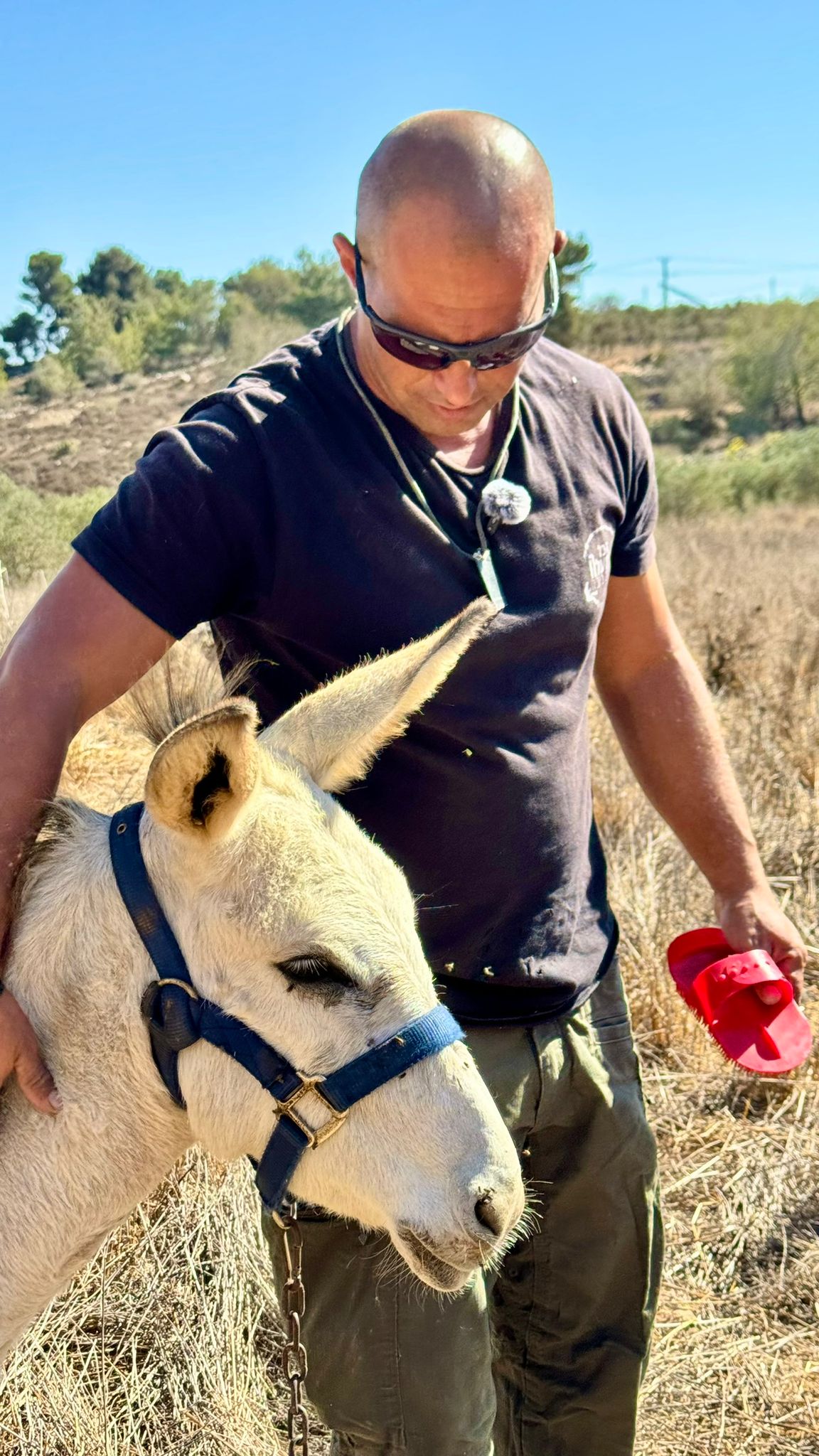 🇮🇱 Na’aleh Therapy Farm — Where Heroes and Animals Heal Together ...