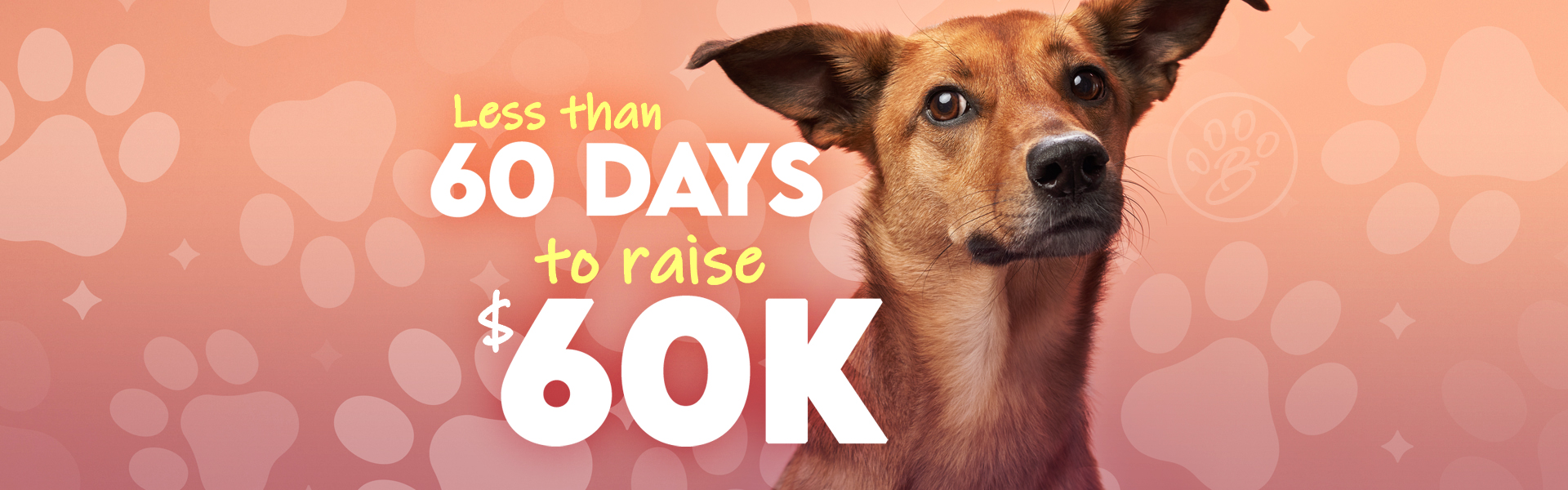 60 Days to Raise $60K | Friends of Benelli Foundation (Powered by Donorbox)
