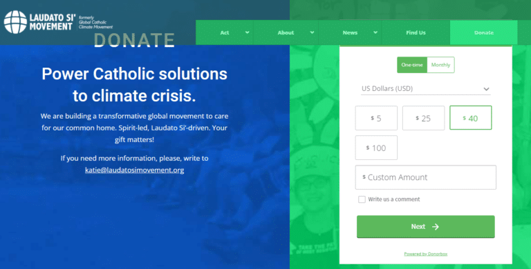 Top 23 Global Nonprofits Protecting the Environment