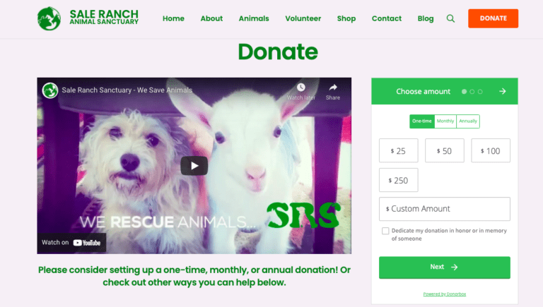 17 Best Animal Charities You Can Donate To