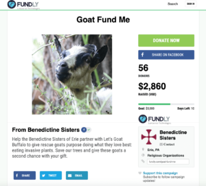 13 Best Fundraising Websites for Nonprofits and Individuals