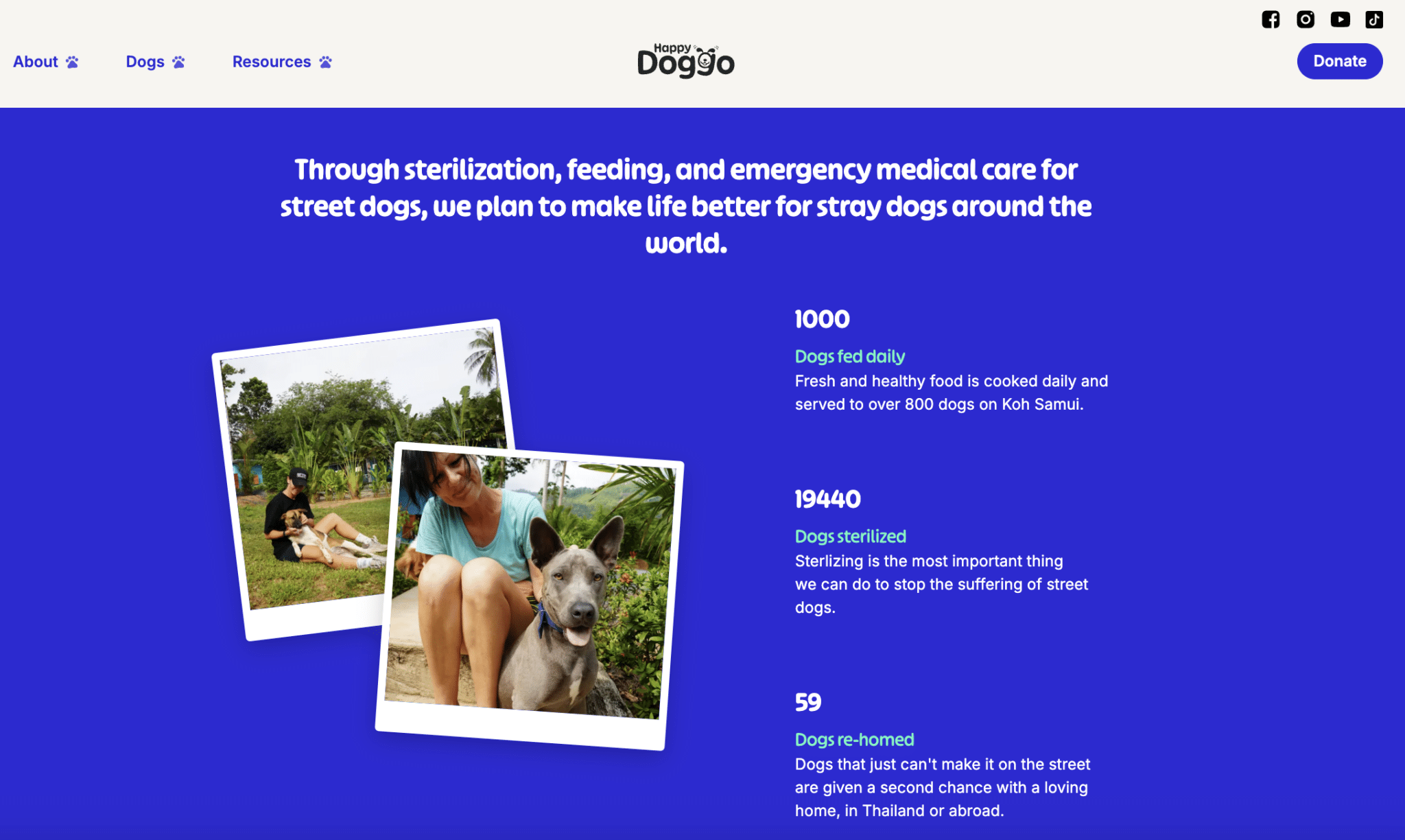 17 Best Animal Charities That Deserve Your Support in 2024