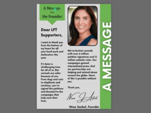 The Guide to Creating a Perfect Nonprofit Case Statement