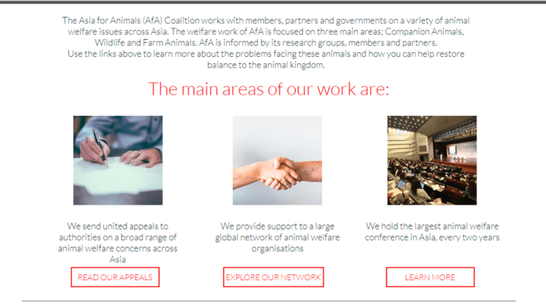 The Guide to Creating a Perfect Nonprofit Case Statement