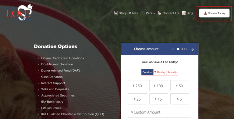 The Ultimate Guide to Creating a Website Donation Button