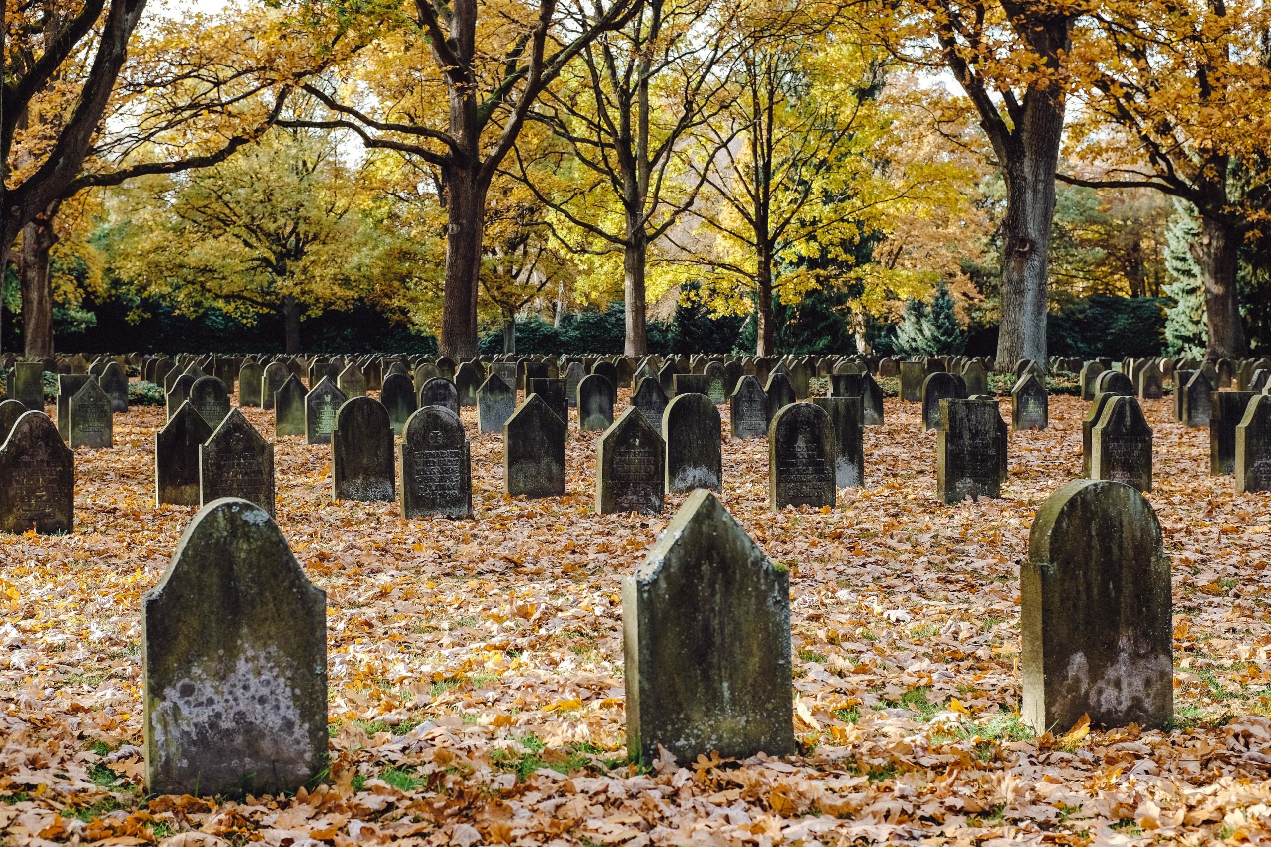 What Is A 501 c 13 Nonprofit Cemetery Organization A Complete Guide