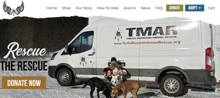 13 Best Animal Charities to Support in 2025