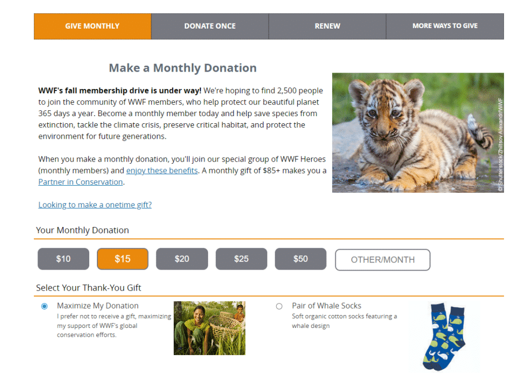 10 Best Donation Form Examples to Improve Your Giving Experience
