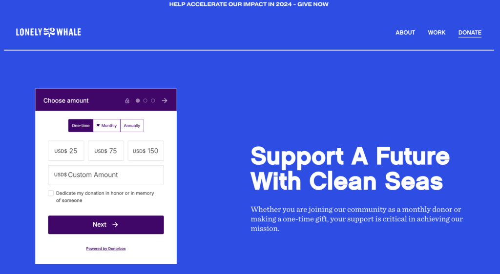 9 Best Donation Page Examples for Better Fundraising