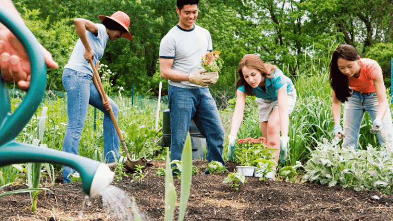 What is a Community Foundation & How They Help Nonprofits | Nonprofit Blog